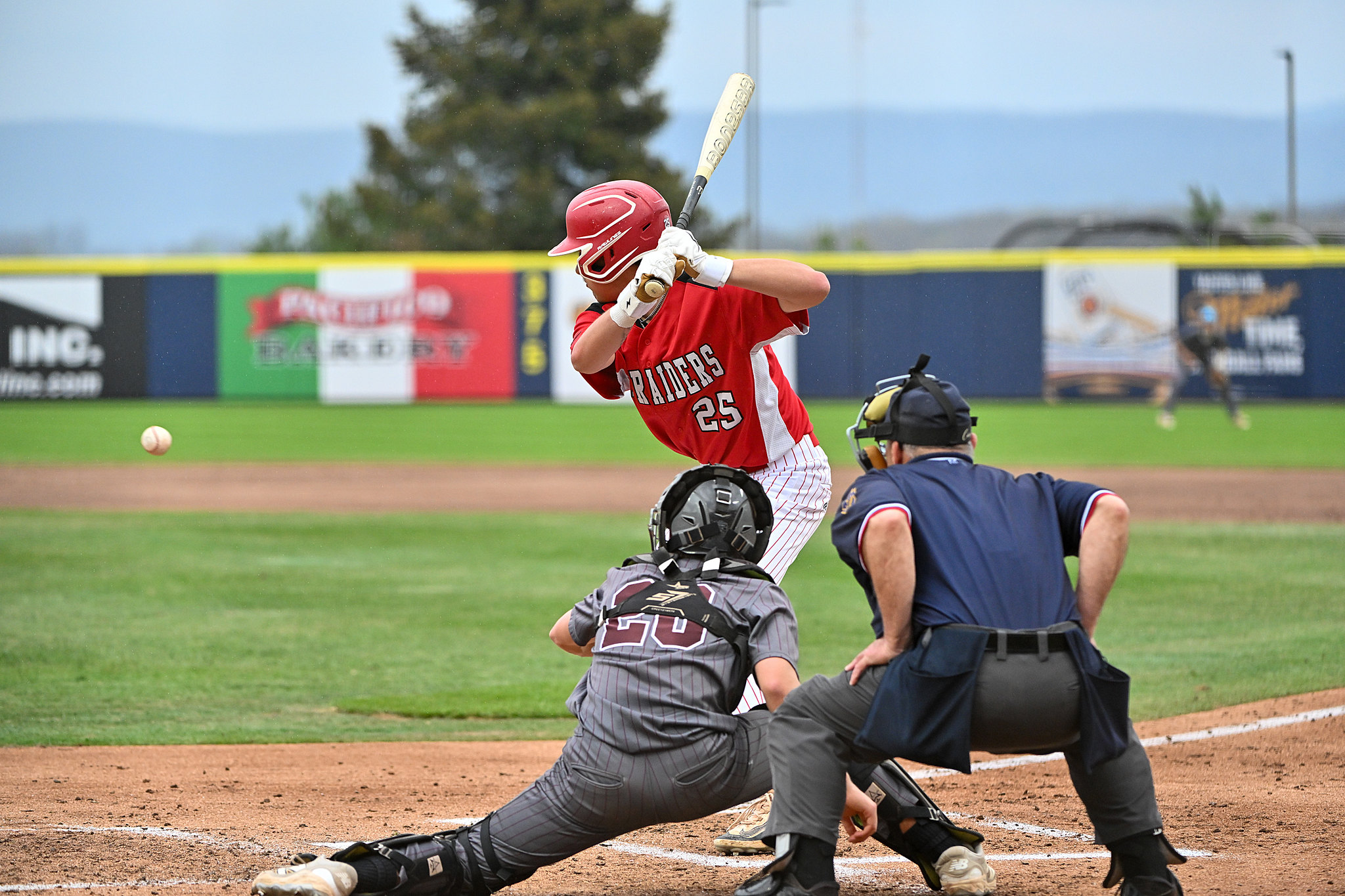 Quentin Crouthamel bats | News, Sports, Jobs - The Express